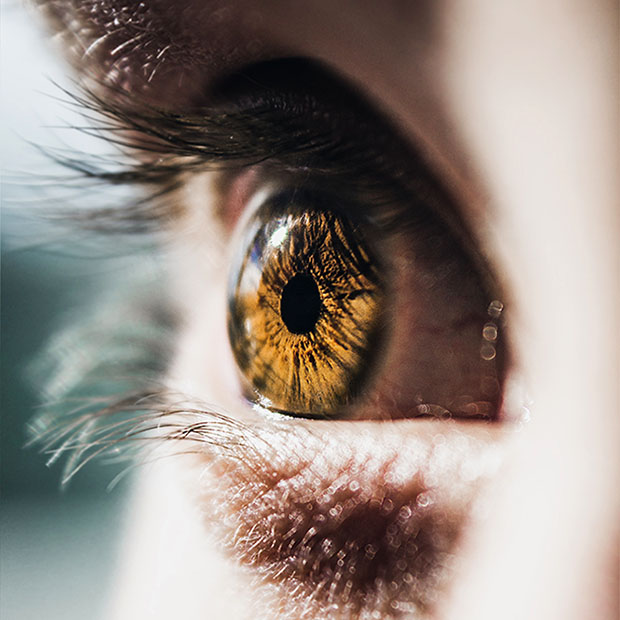 What Do You Know About Your Eyes’ Anatomy? – Fresno CA | Fig Garden ...